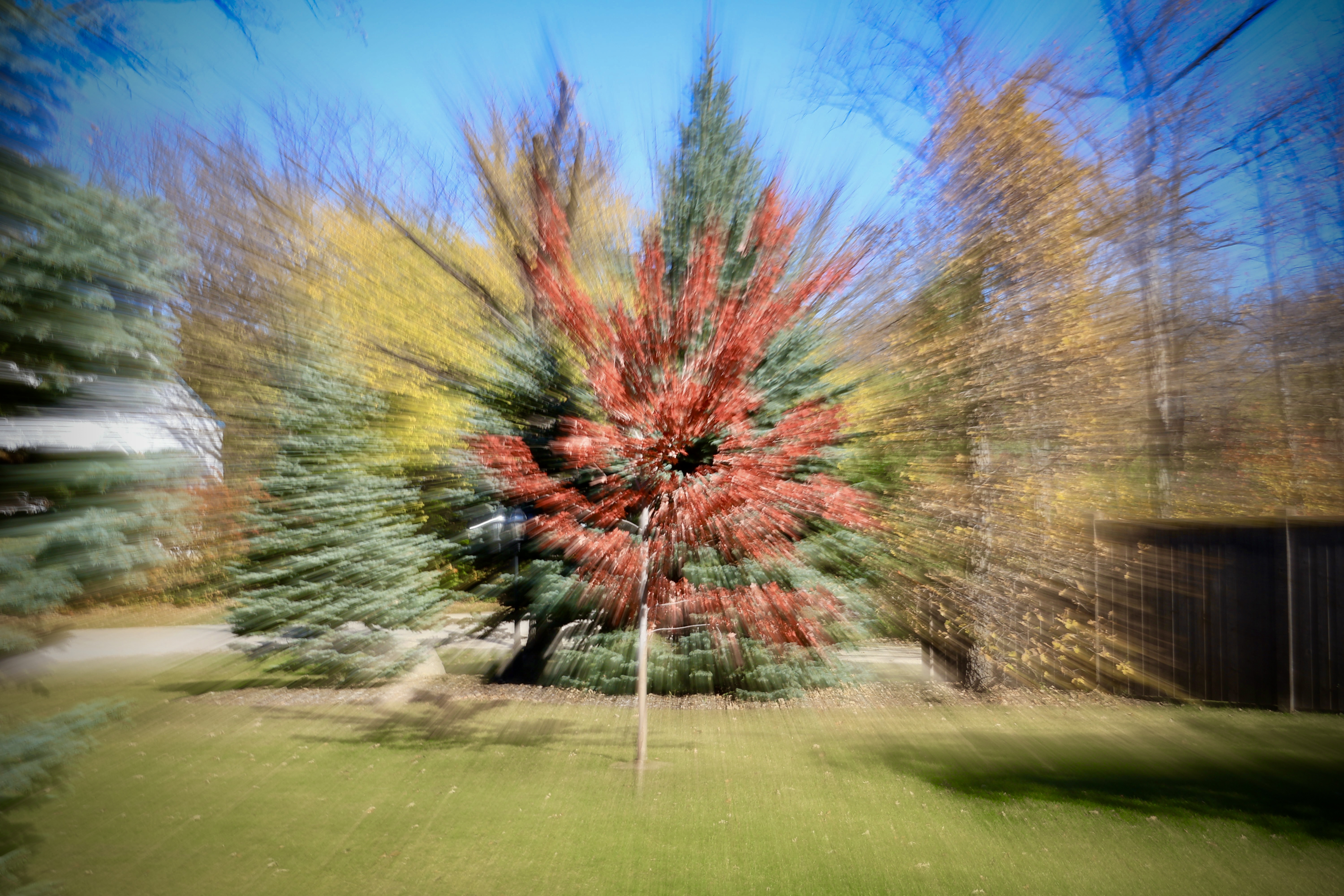 Fall color burst. | Shutterbug